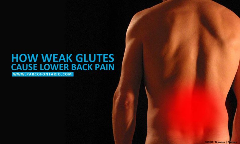 How Weak Glutes Cause Lower Back Pain The Physiotherapy And How Weak Glutes Cause Lower Back Pain The Physiotherapy And