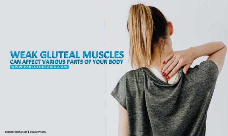 How Weak Glutes Cause Lower Back Pain | The Physiotherapy and ...